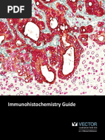 BD FACSDiva™ CS&T IVD Beads | PDF | Flow Cytometry | Computing And ...