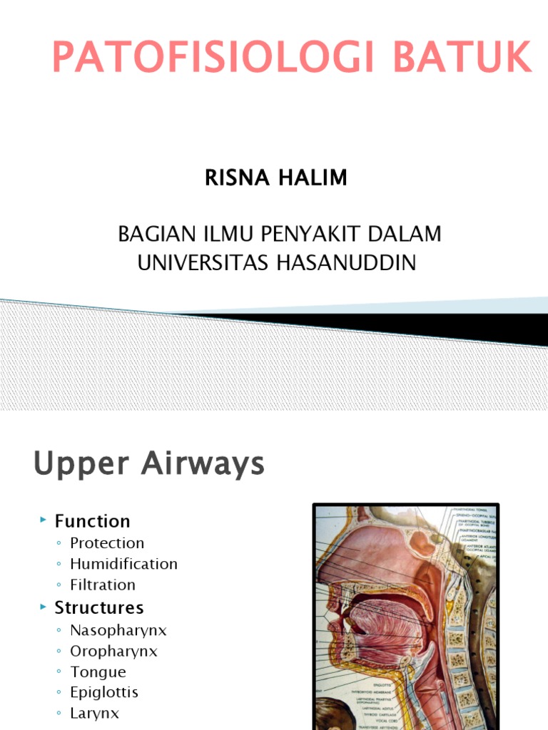 Patofisiologi Batuk: Risna Halim Bagian Ilmu Penyakit Dalam Universitas ...