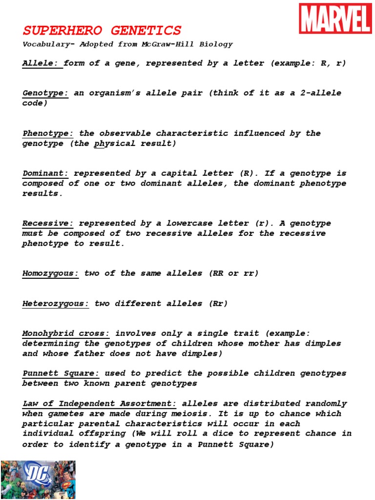 Superhero Genetics Activity | PDF | Genotype | Dominance (Genetics)