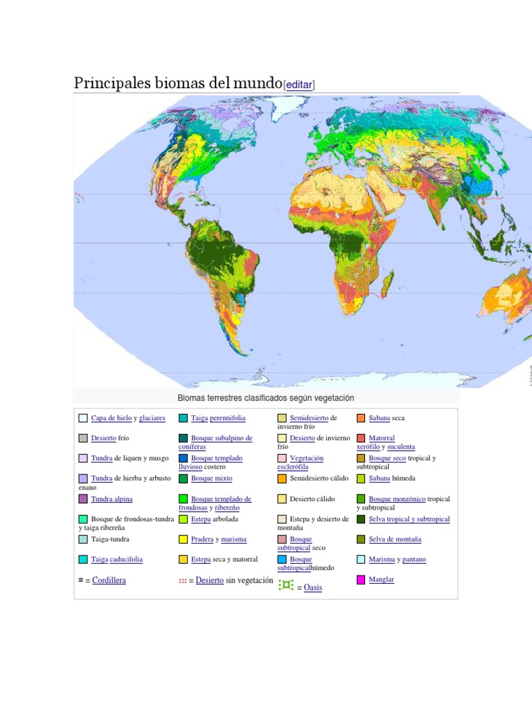 Principales biomas del mundo y sus tipos | PDF
