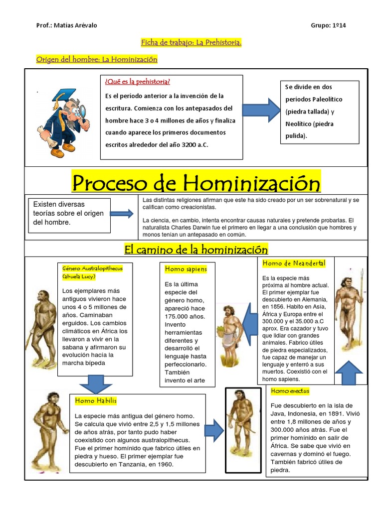 Ficha Hominización | Homo | Evolución humana