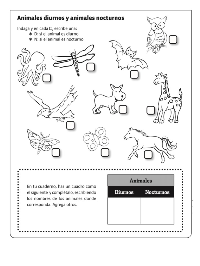 Animales Diurnos y Nocturnos | PDF