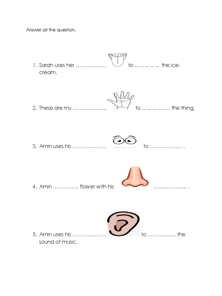 Answer All The Question | PDF | Home & Garden
