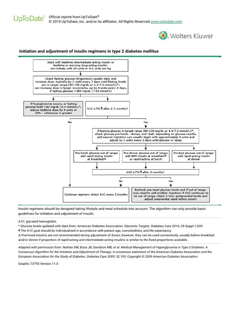 Initiation and Adjustment of Insulin Regimens in Type 2 Diabetes ...