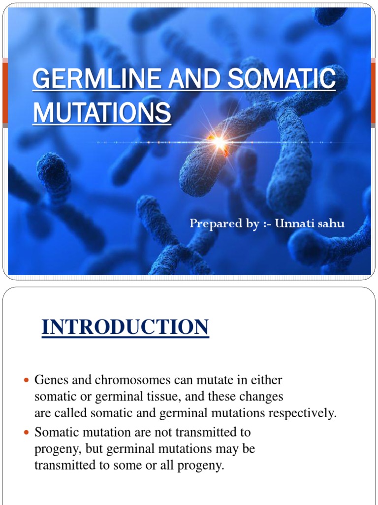 Germline vs Somatic Mutations Explained | PDF