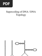 Hyperchromic Effect | PDF | Nucleic Acid Thermodynamics | Genetics