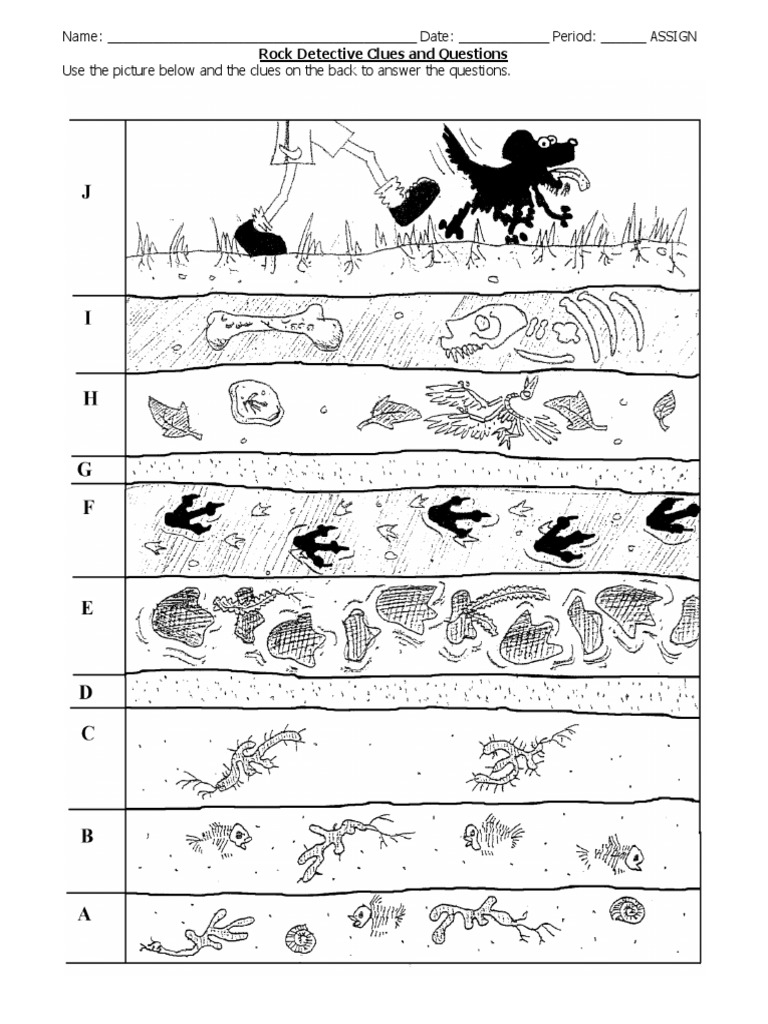 Rock Detective | PDF | Fossil | Rock (Geology)
