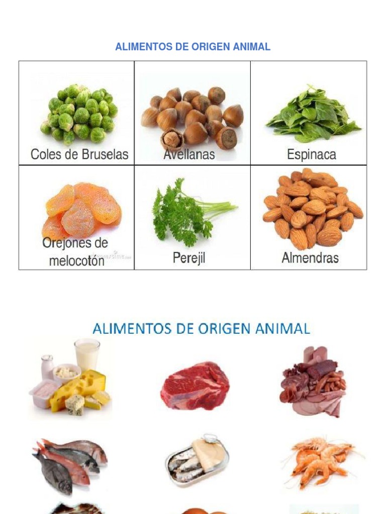 Alimentos de Origen Animal y Vegetal | PDF