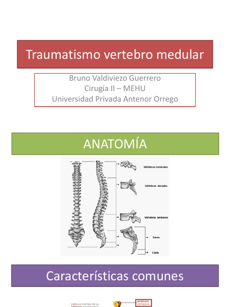 Traumatismo Vertebro Medular | PDF | Inflamación | Vértebra