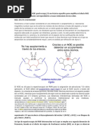 Guía de Interpretación de Espectros RMN | PDF | Resonancia magnética nuclear | Benceno