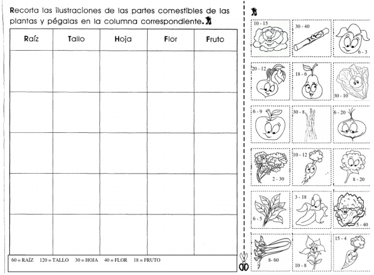 PARTES COMESTIBLES DE LA PLANTA.pdf.docx | Plantas | Horticultura y ...