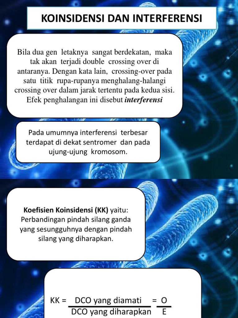 Presentation 122 | PDF