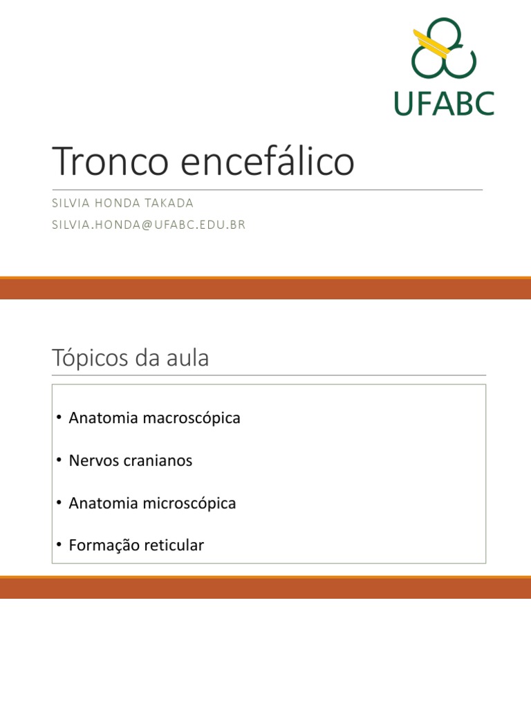 Aula - Tronco encefálico | PDF | Cerebelo | Neuroanatomia
