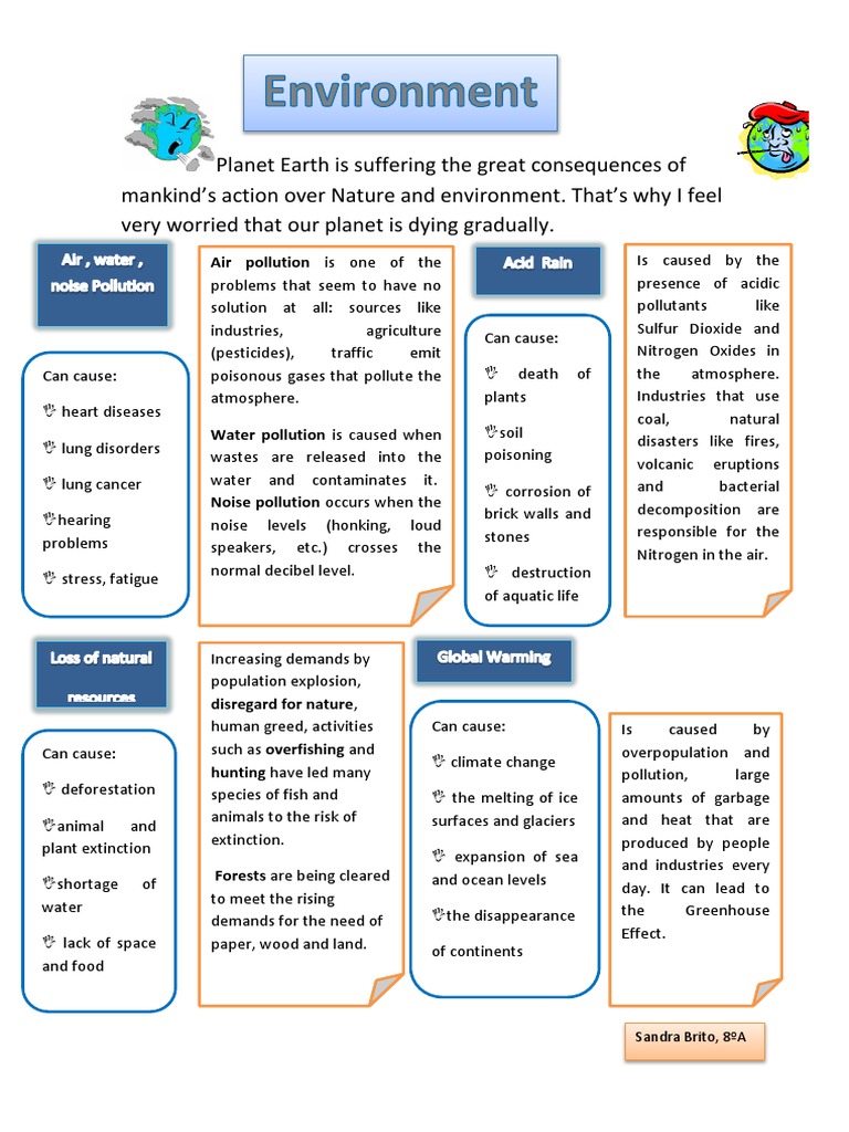 Ambiente 8º Mto Bom | PDF | Waste | Pollution