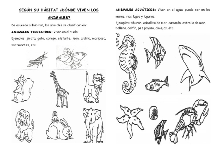 Animales Terrestres y Acuáticos | PDF