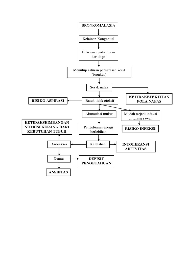Pathway LP Bronkomalasia | PDF