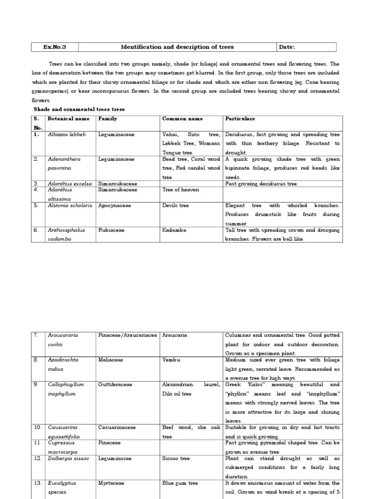 A Guide to Identifying and Describing 30 Shade and Ornamental Tree ...