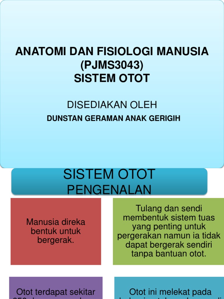 Anatomi Dan Fisiologi Sistem Otot | PDF