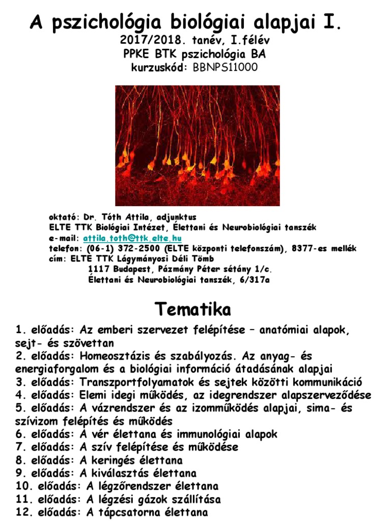 Az Emberi Szervezet Felepitese | PDF