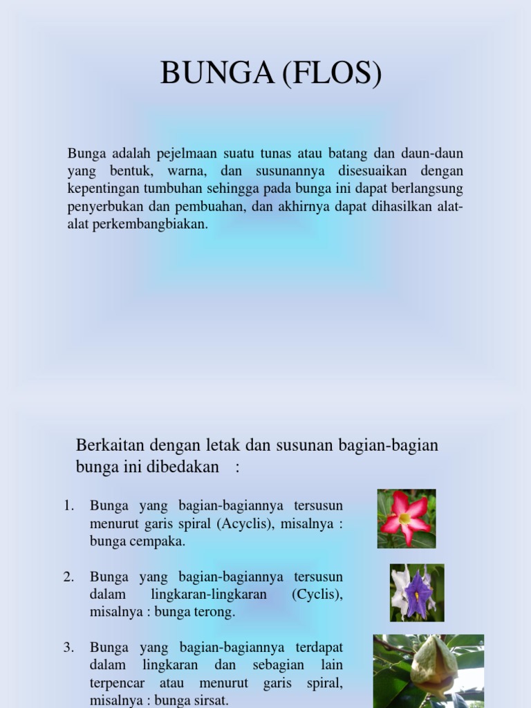 Struktur dan Jenis Bunga Majemuk | PDF