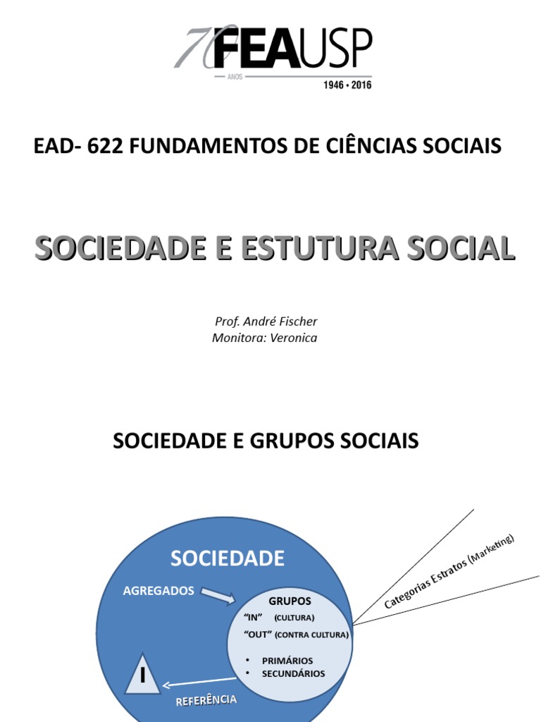 Sociedade e Estrutura Social | PDF | Sociedade | Sociologia