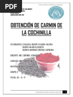 El Ácido Carmínico y Sus Métodos de Producción Actuales | PDF ...