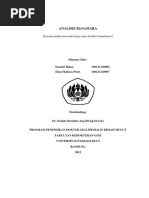 Analisa Mcnamara | PDF