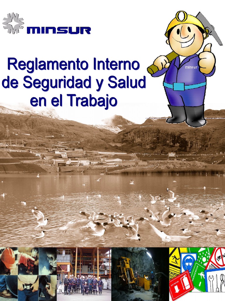 Seguridad y Salud en El Trabajor S.A | PDF | Minería | Aluminio