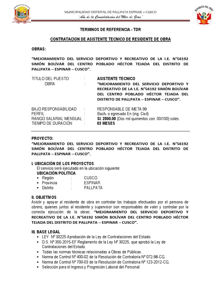 TDR Asistente Tecnico | PDF | Ingeniero civil | Ingeniería