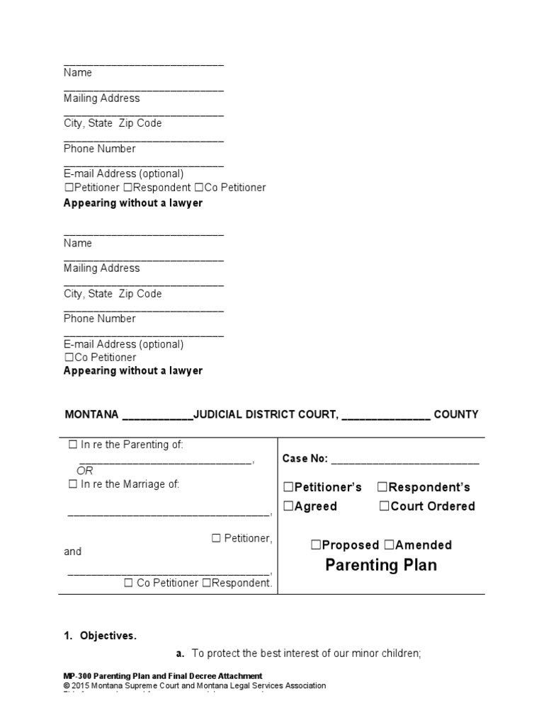 Appearing Without A Lawyer: Parenting Plan | PDF | Child Support ...