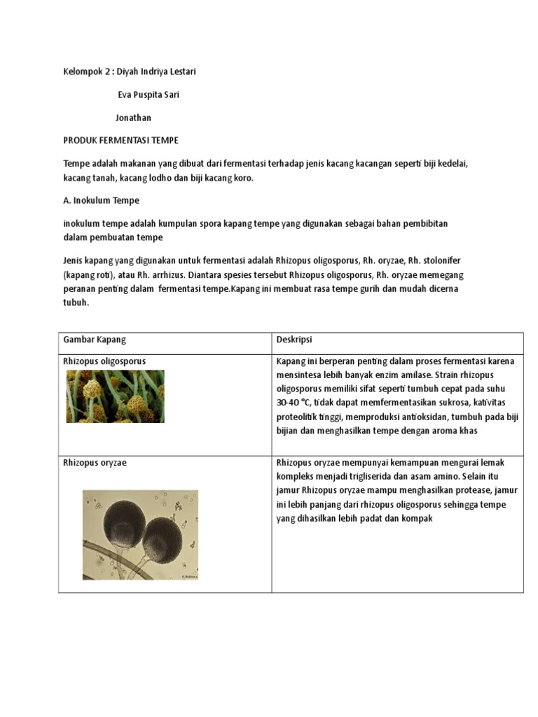 Proses Fermentasi Tempe dan Inokulum | PDF