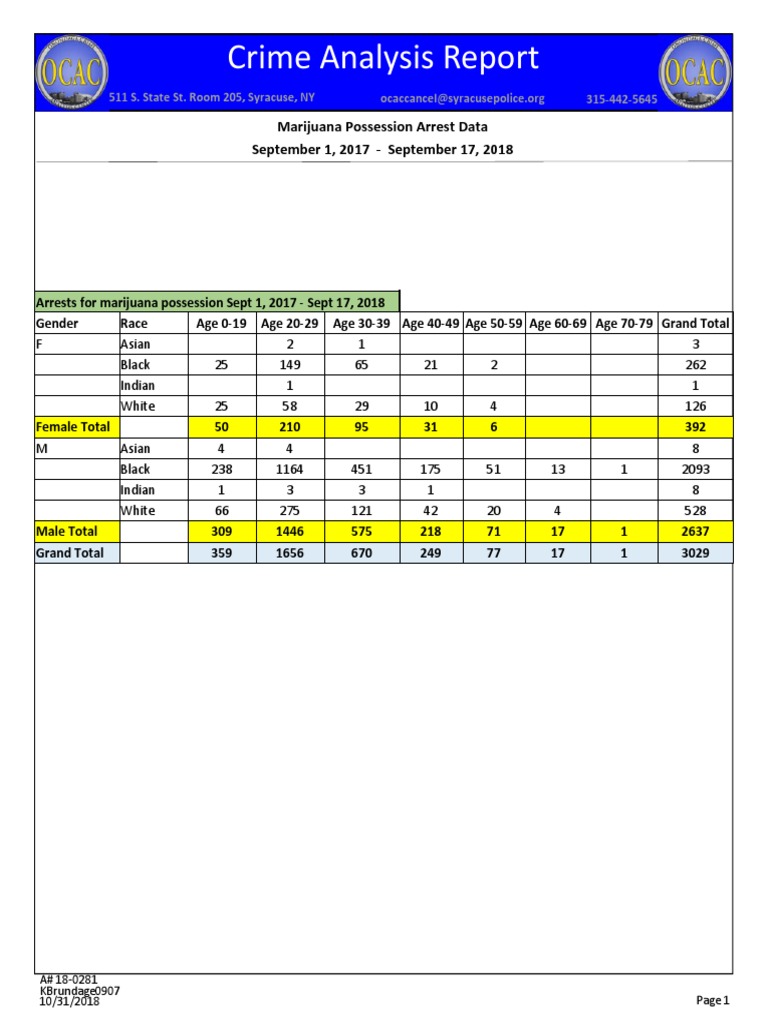 Crime Analysis Report | PDF