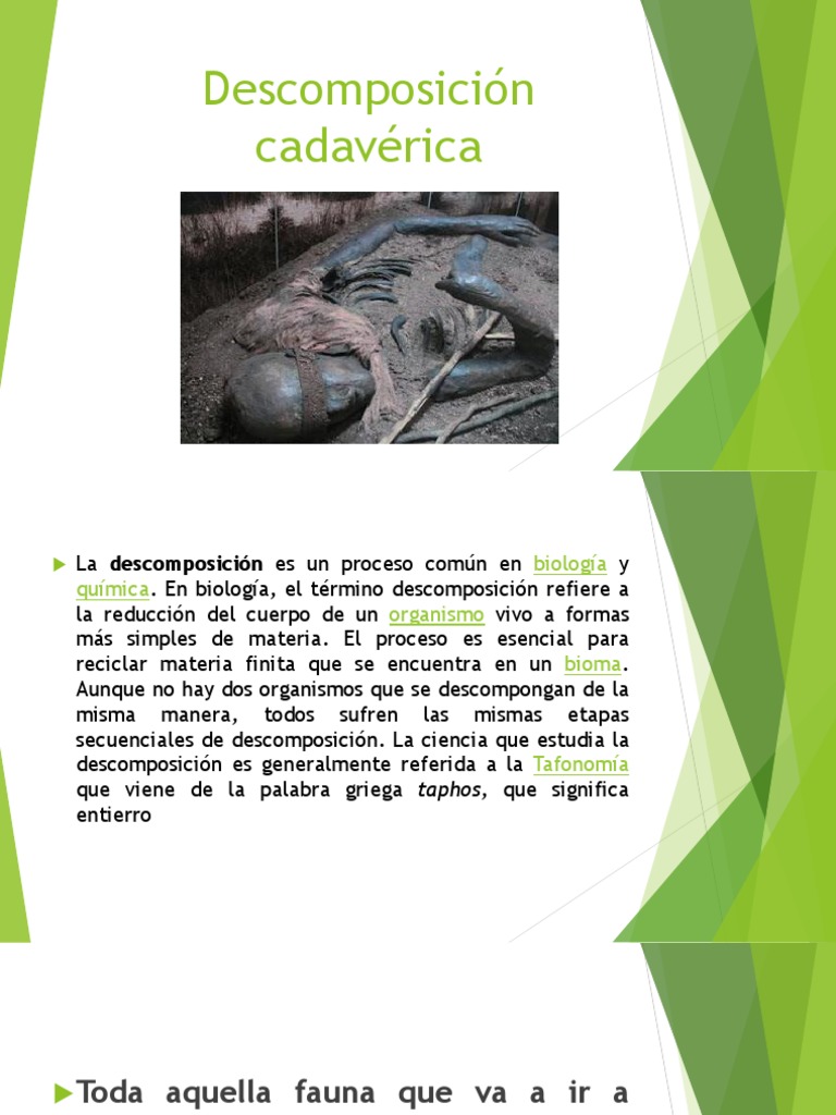 Descomposición Cadavérica Pdf Descomposición Salud Y Bienestar