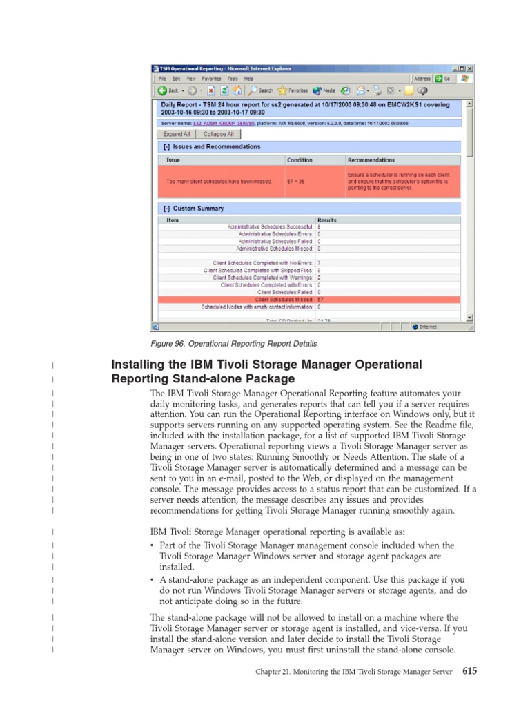 TSM Op Reporting Install | PDF | Command Line Interface | Computer Monitor