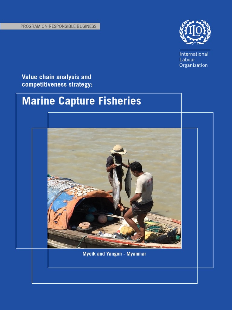 Marine Capture Fisheries PDF | PDF | Sustainability | Overfishing