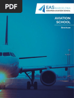 ICAO TRAINAIR PLUS Programme Overview | PDF | Airlines | Aviation