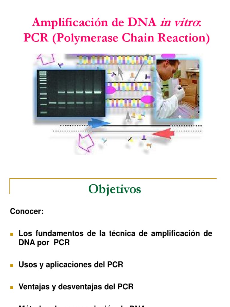 Amplificación de DNA: PCR (Polymerase Chain Reaction) : in Vitro | PDF ...