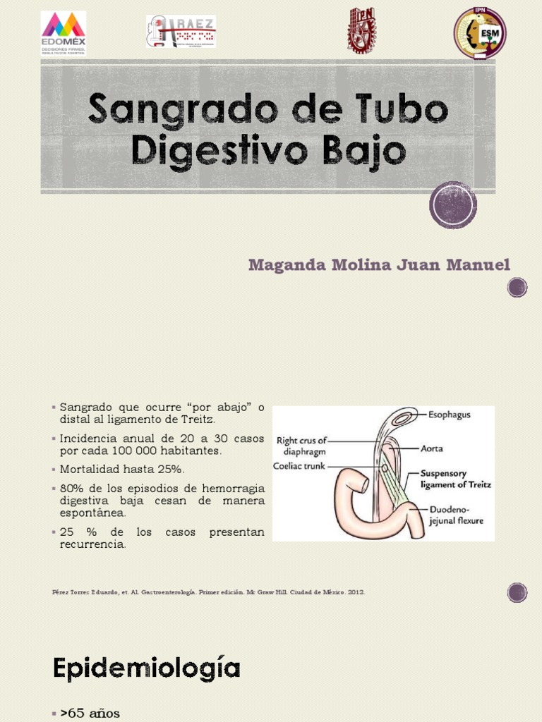 STDB | PDF | Enfermedades y trastornos | Especialidades Medicas
