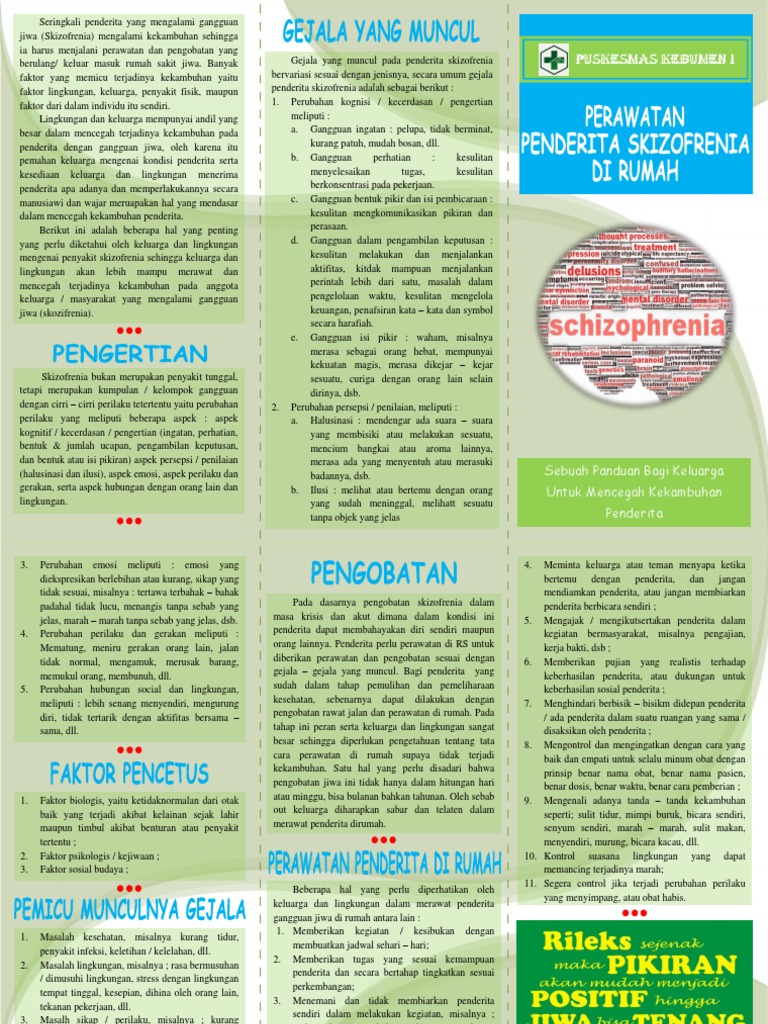 Leaflet Skizofrenia | PDF