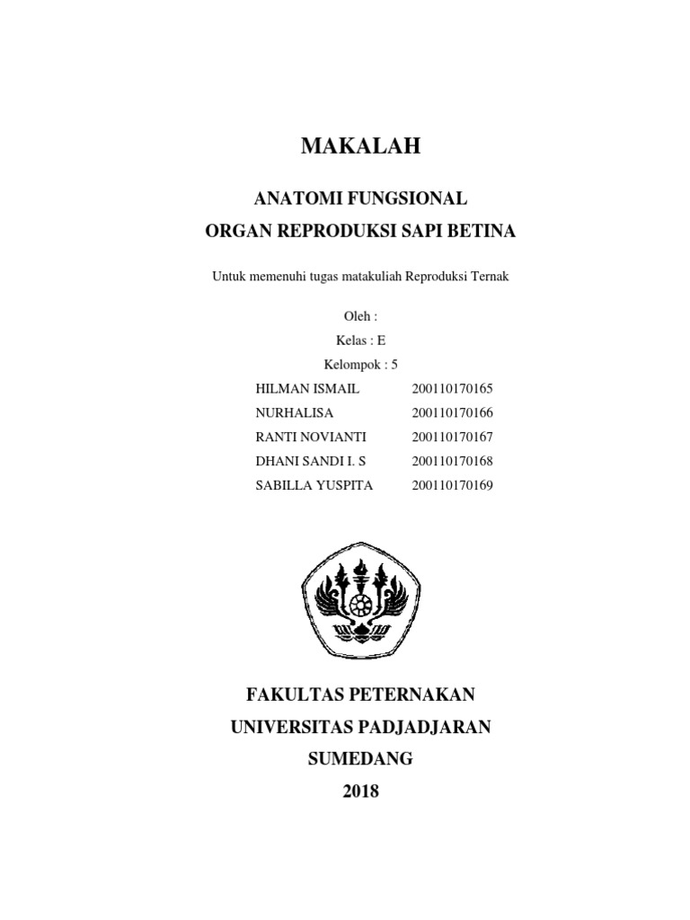 Anatomi Fungsional Organ Reproduksi Sapi Betina | PDF