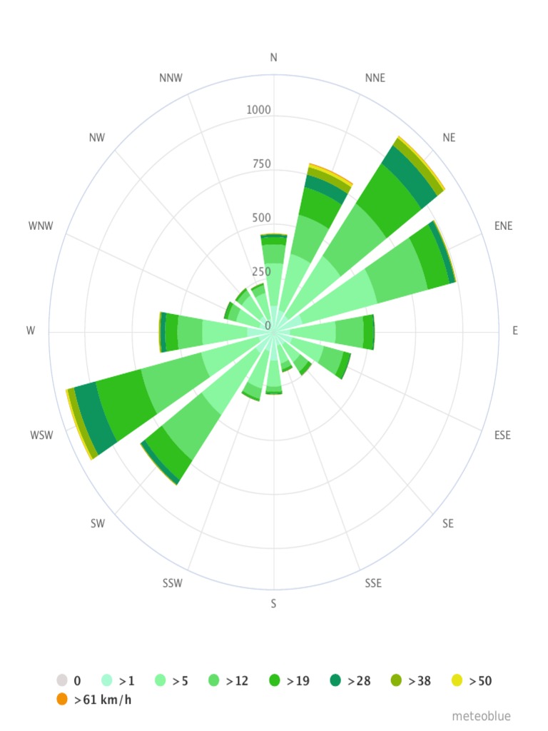 Roza vanturilor bucuresti.pdf