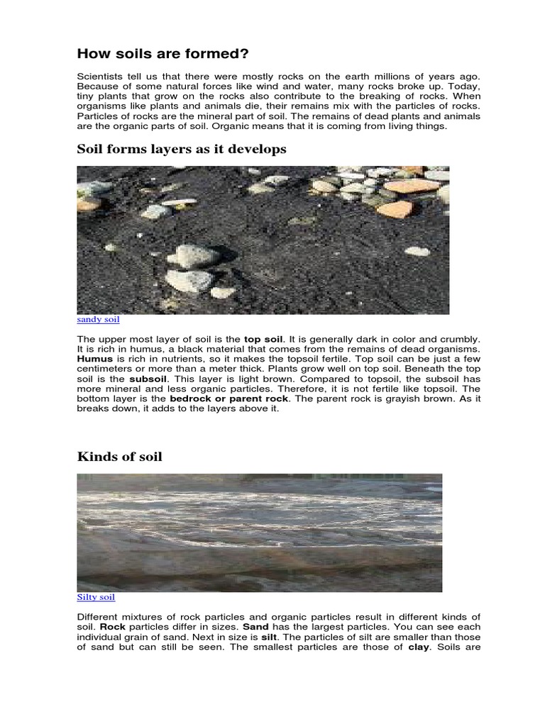 How Soils Are Formed | Download Free PDF | Topsoil | Soil