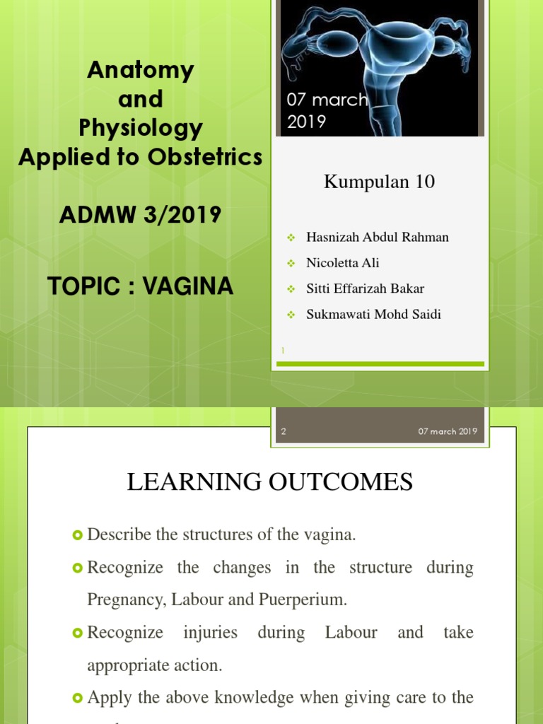 Anatomy and Physiology Applied To Obstetrics ADMW 3/2019: Kumpulan 10 ...