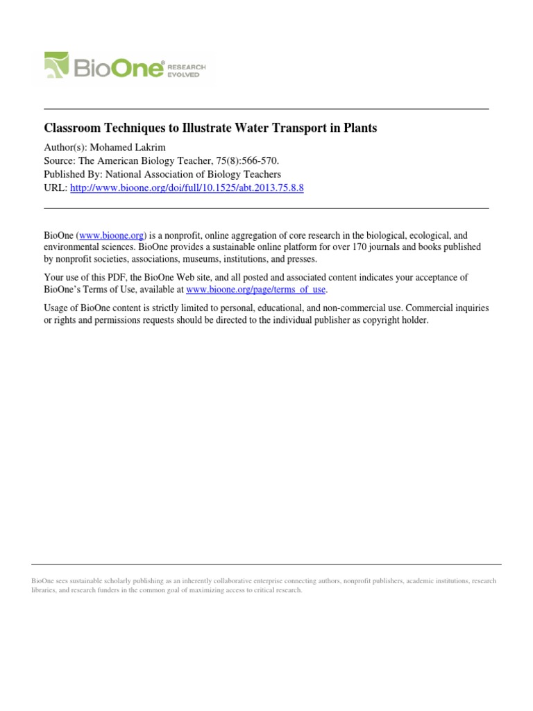 Aab Neuron Anatomy Activity 0 | PDF | Stoma | Branches Of Botany