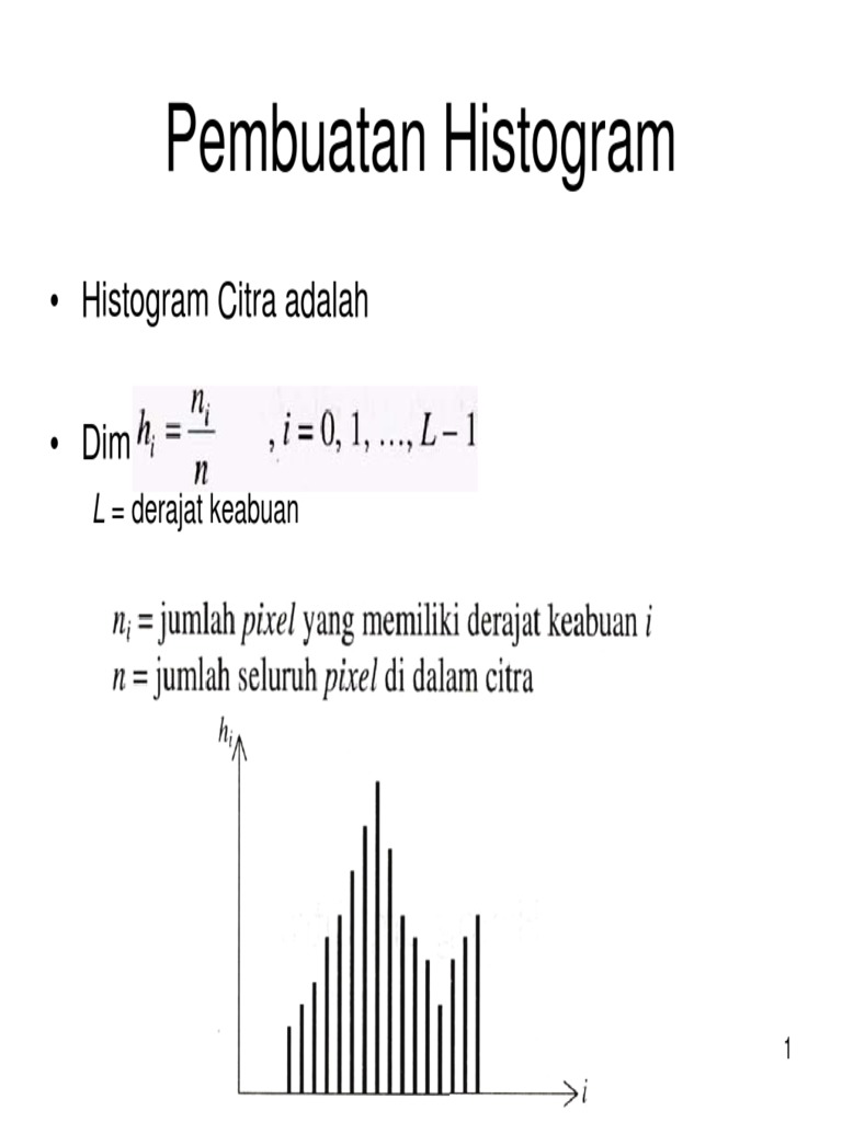Pembuatan Dan Perataan Histogram Citra Pdf
