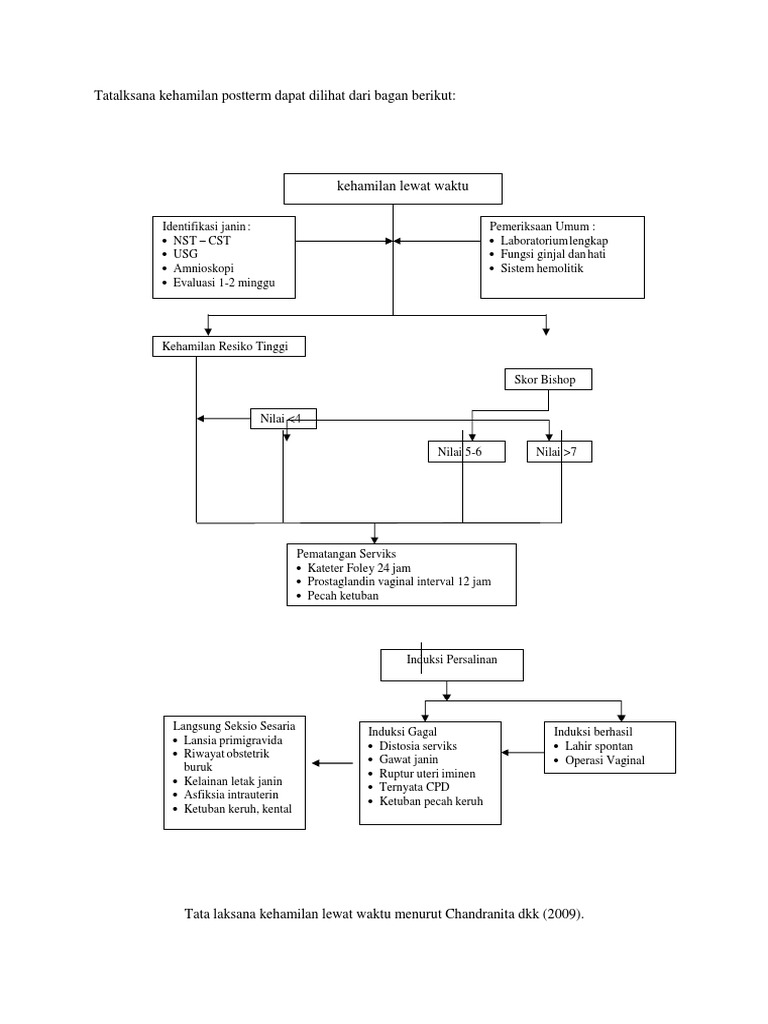 Bagan Tatalaksana | PDF