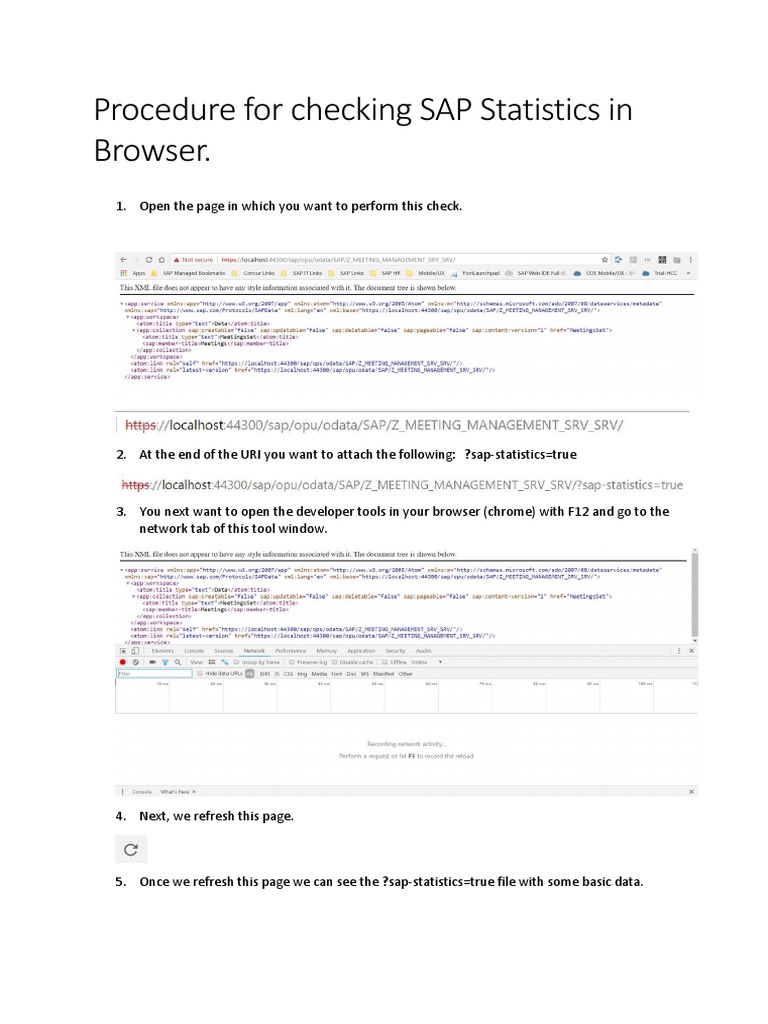 Checking SAP Statistics in Browser | PDF | System Software | Cyberspace