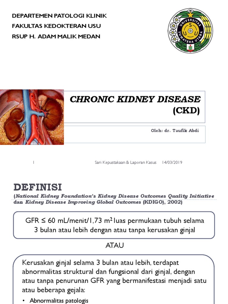 Chronic Kidney Disease (CKD) | PDF