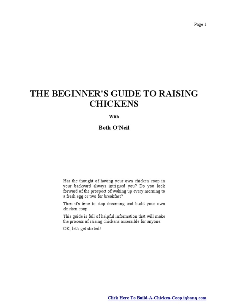 The Beginner's Guide to Raising Chickens: Essential Considerations for ...