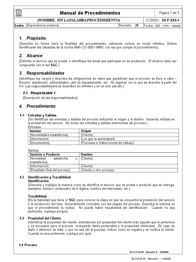 Formato de Procedimiento | PDF | Informática y tecnología de la ...